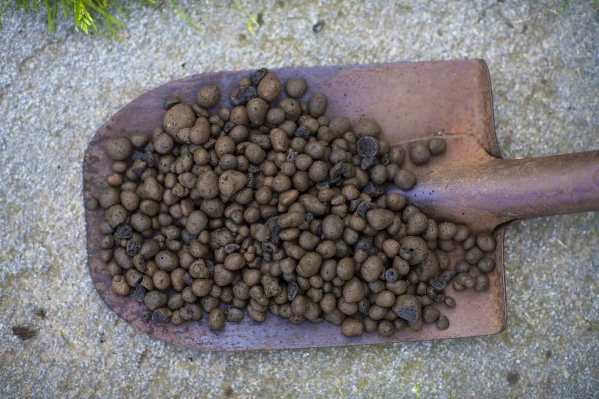 Lecakuler for optimal drenering i krukker og potter | Grønn Vekst